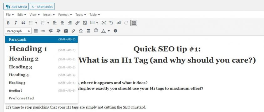 What is an H1 Tag | Quick SEO Tips | How to Use H1 tags
